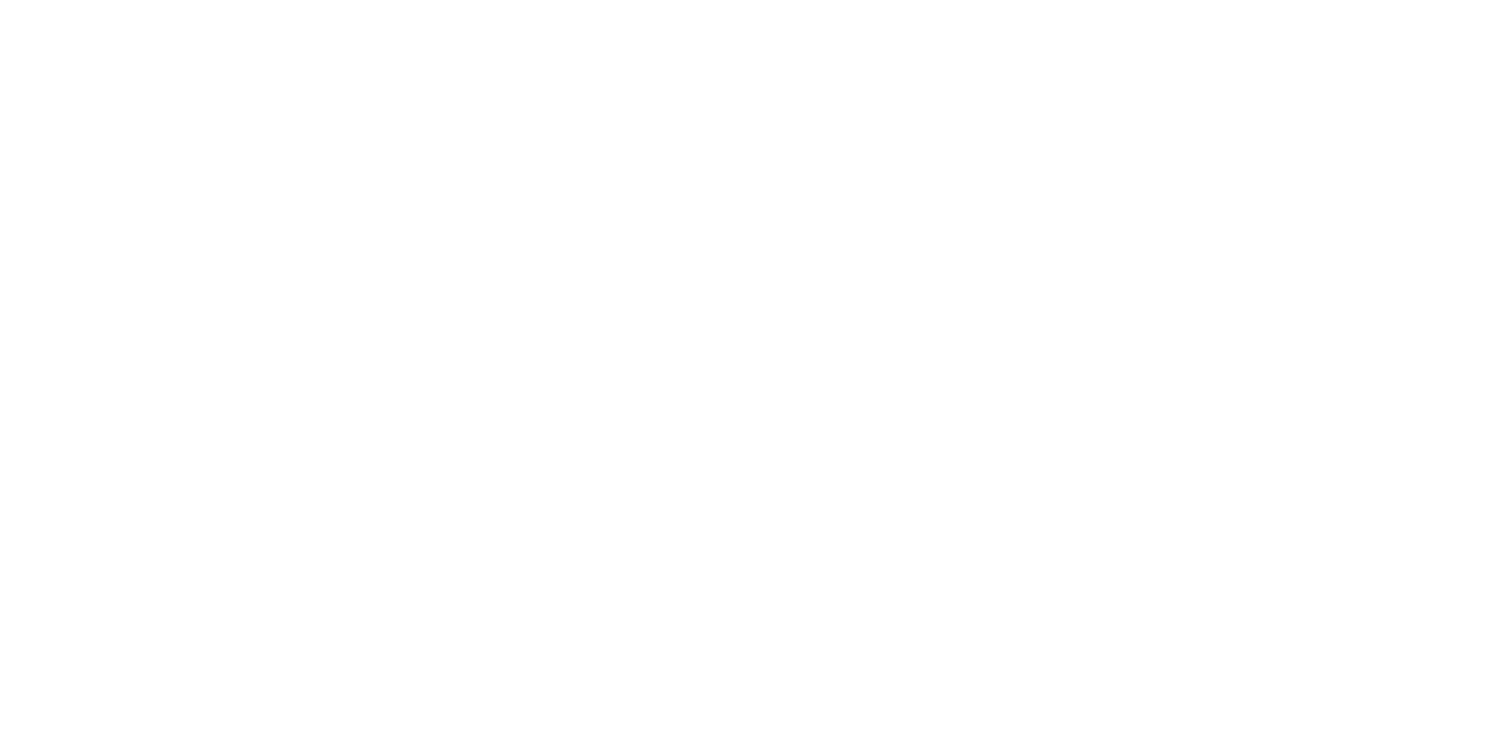 Blink Payment - Business Pilot